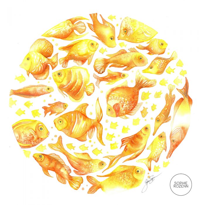 Portfolio - Sophie Rozenn Aquarelliste