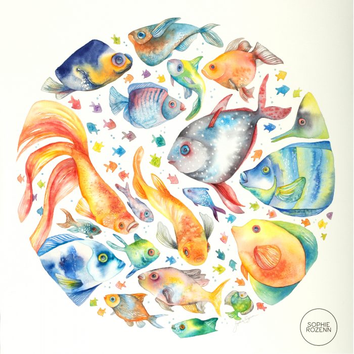 Portfolio - Sophie Rozenn Aquarelliste